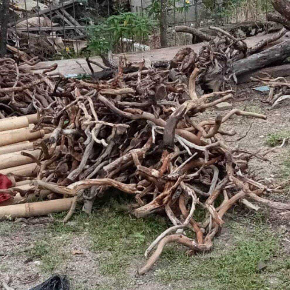 kayu santigi laut untuk aquascape full tenggelam ukuran L | Lazada ...