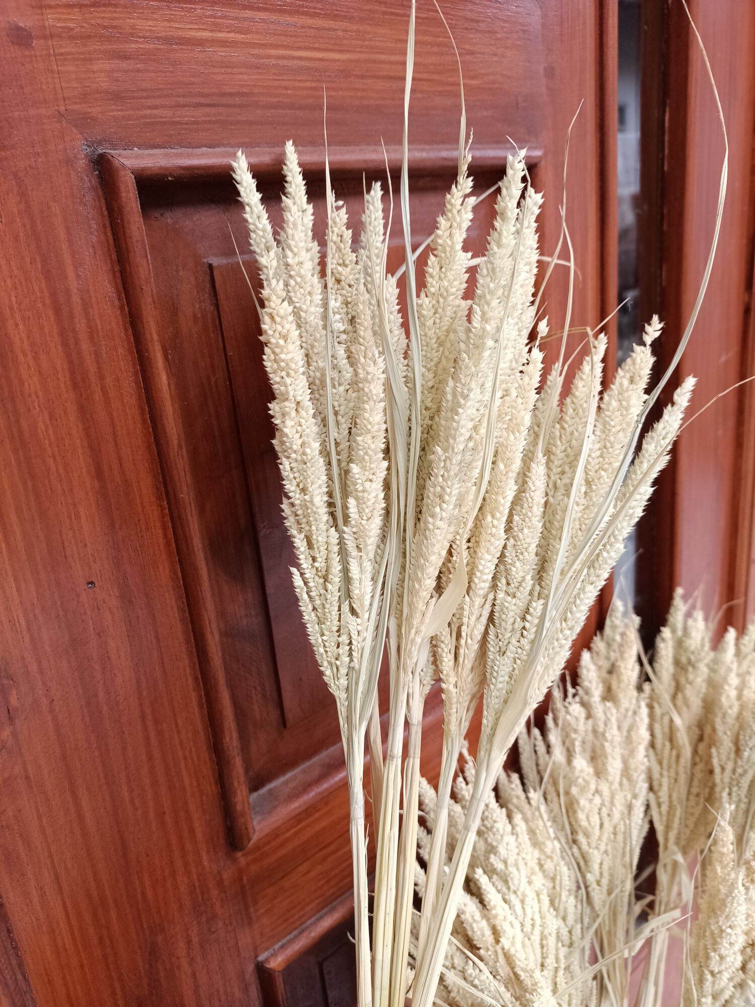 bunga jawan natural bleaching 1 ikat bunga kering dried flower rustic ...