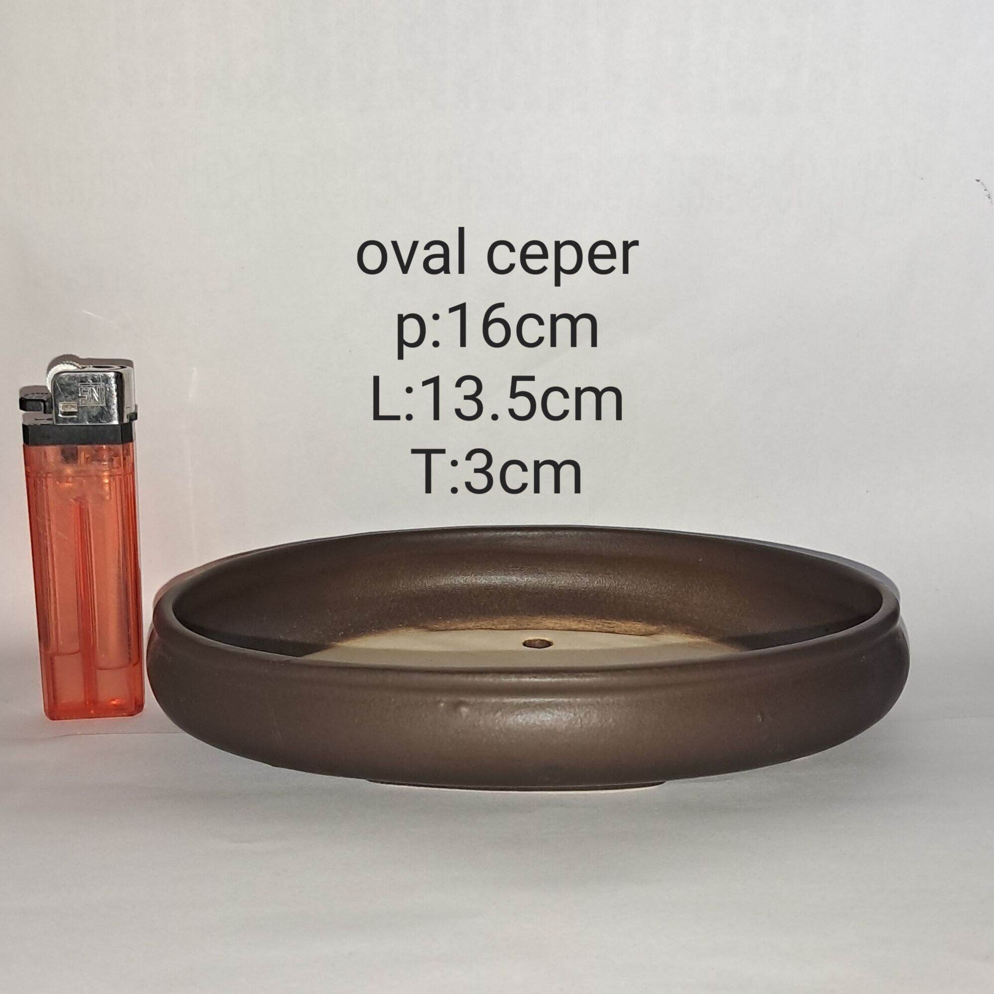 pot keramik oval ceper medium | Lazada Indonesia