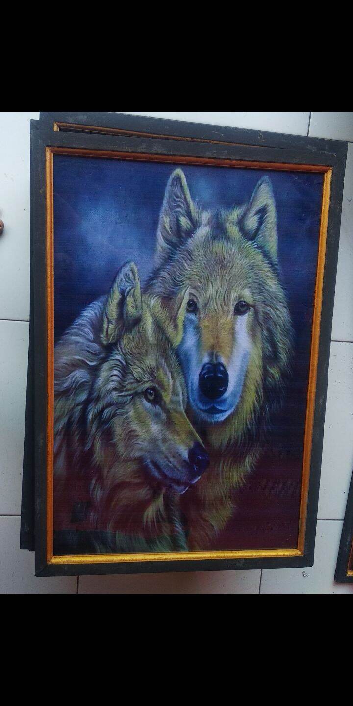lukisan cetak sepasang serigala plus bingkai ukuran 65×45 | Lazada ...