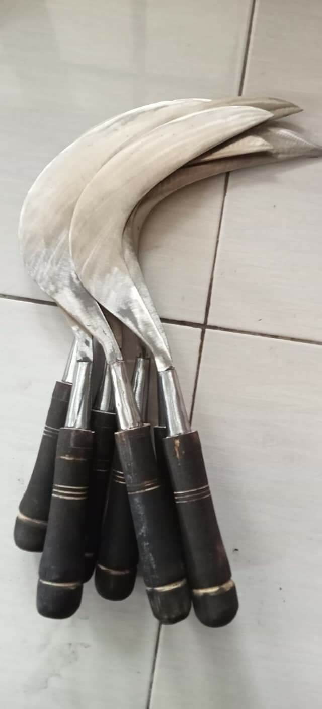 arit rumput madura super | Lazada Indonesia