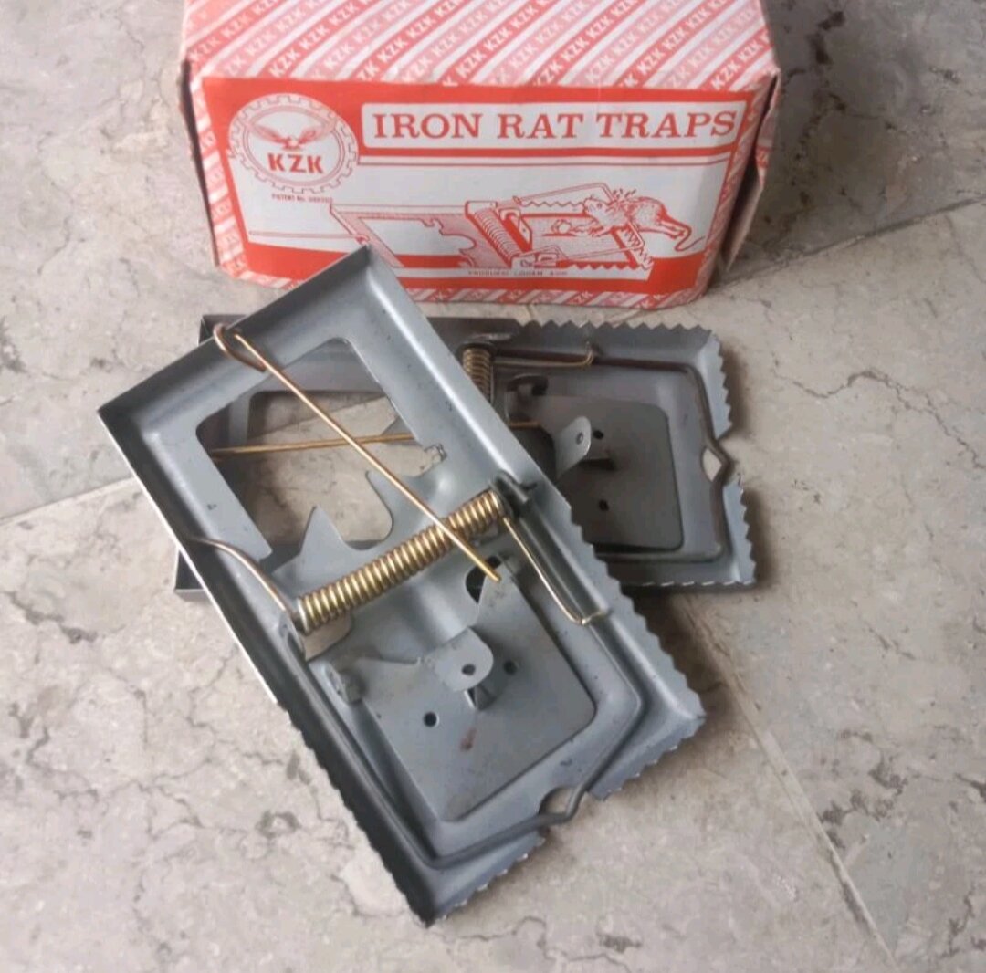 Perangkap Tikus Besi Tebal/Jebakan Tikus Jepit/Penjepit Tikus/Jepretan ...