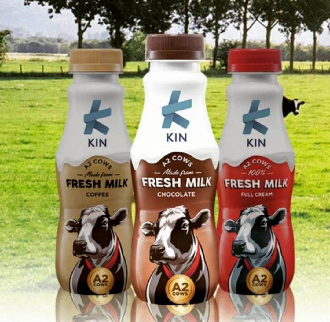 Susu UHT Kin Fresh Milk 200 ml All Variant | Lazada Indonesia