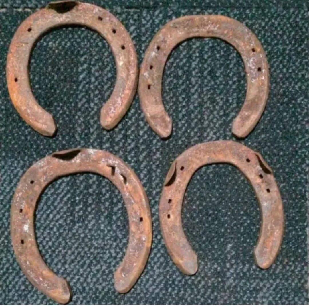 Tapal kuda bekas sepatu kuda bekas ladam | Lazada Indonesia