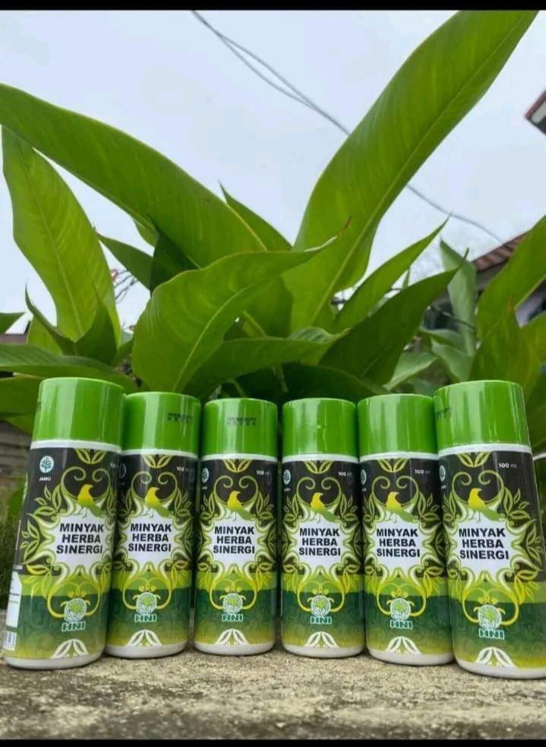 MHS - Minyak Urut - Minyak Herba Sinergi - Minyak But But HNI HPAI ...