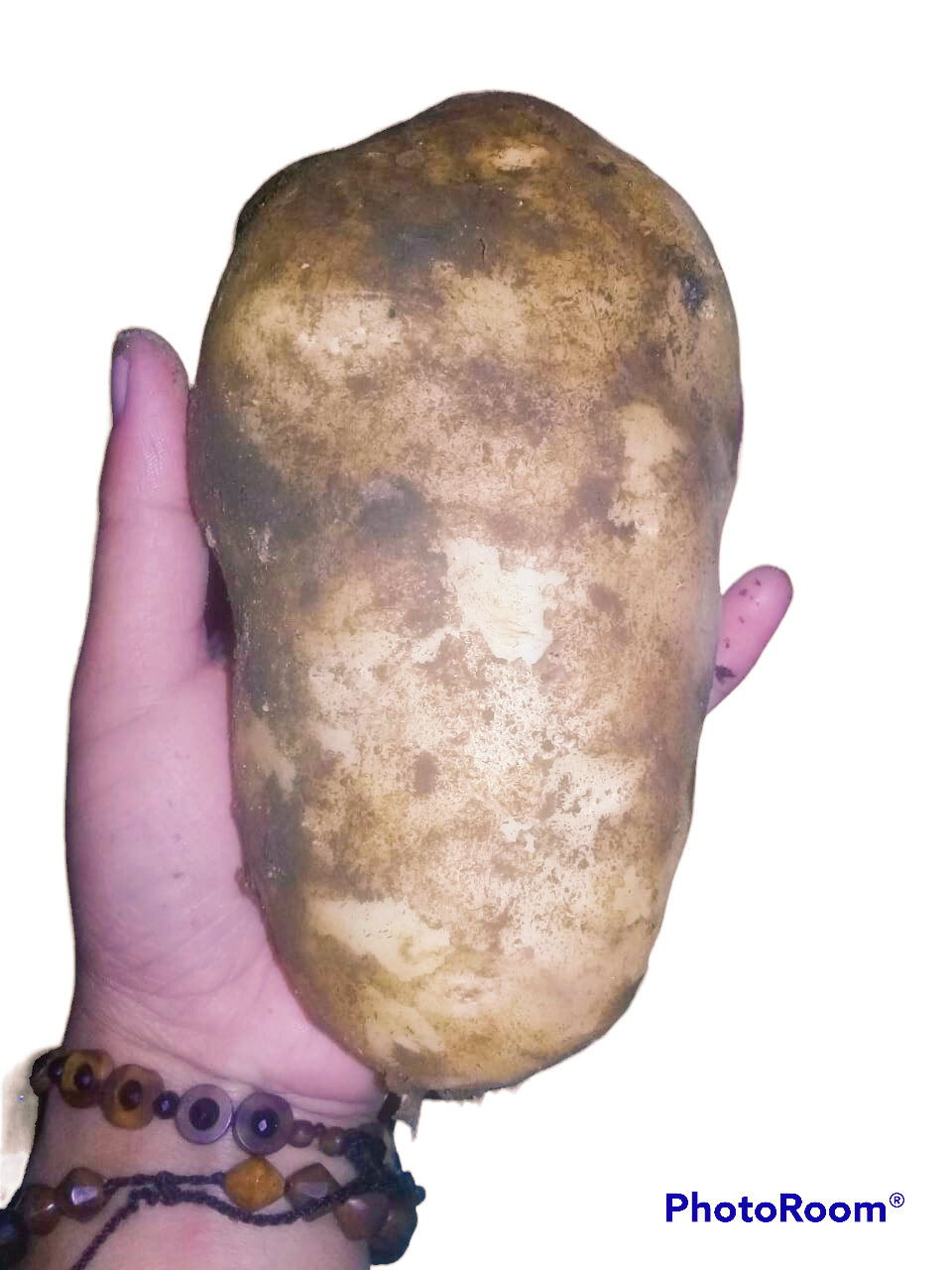 KENTANG JUMBO 5KG.KENTANG | Lazada Indonesia