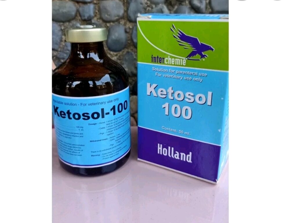 Ketosol 100 inj Anti Radang Hewan anti Inflamasi Analgesik Antipiretik ...