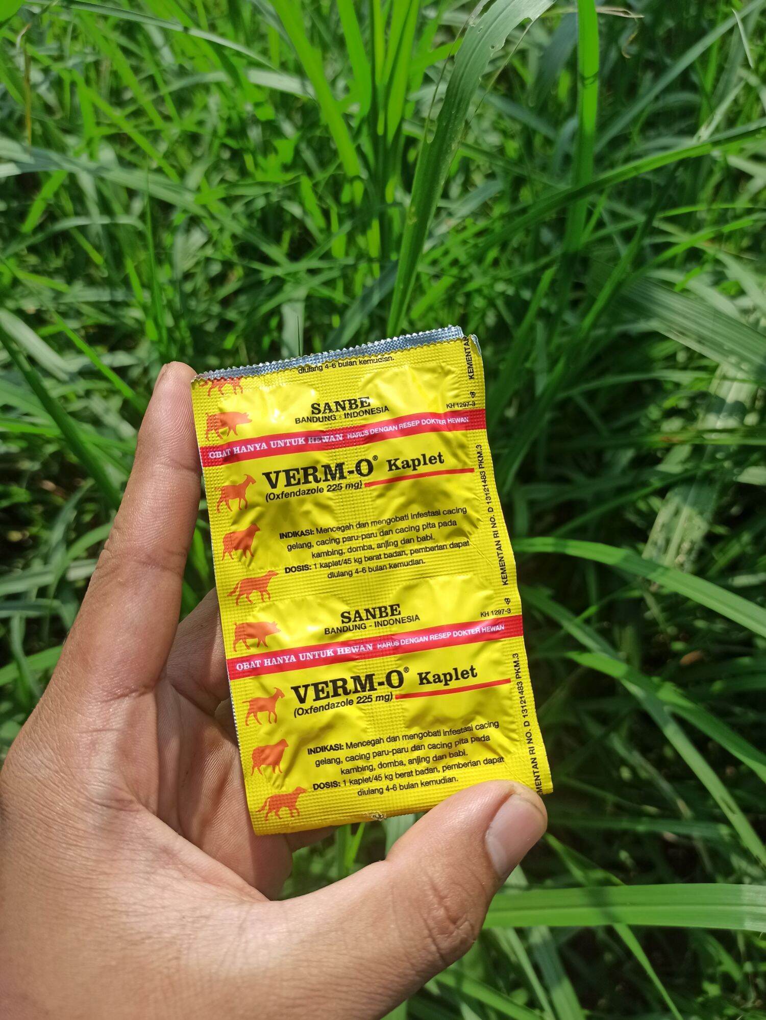 verm-o obat cacing domba dan kambing | Lazada Indonesia
