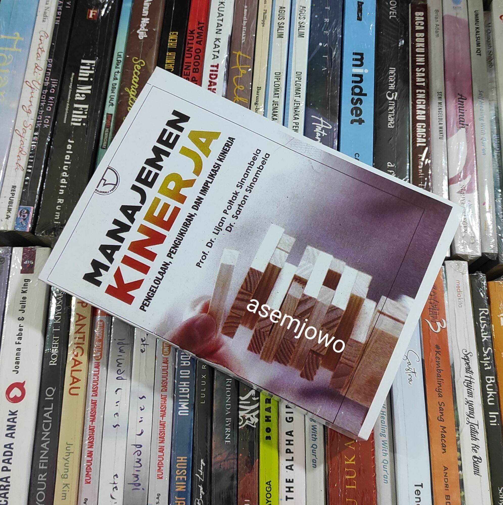 Manajemen kinerja pengelolaan pengukuran dan implikasi kinerja by prof ...