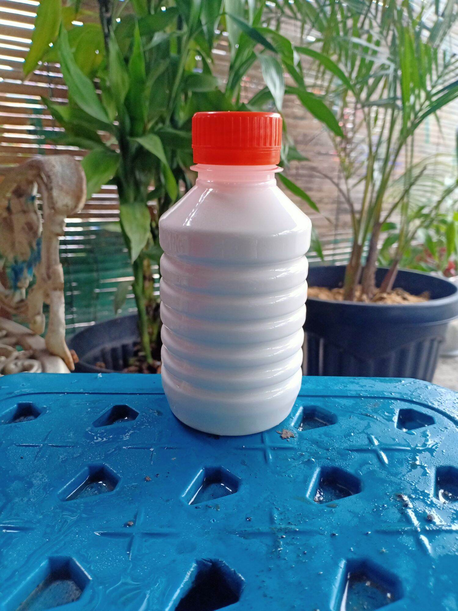 THICKENER PENGENTAL KEMASAN ¼ KG / 250 Gram | Lazada Indonesia