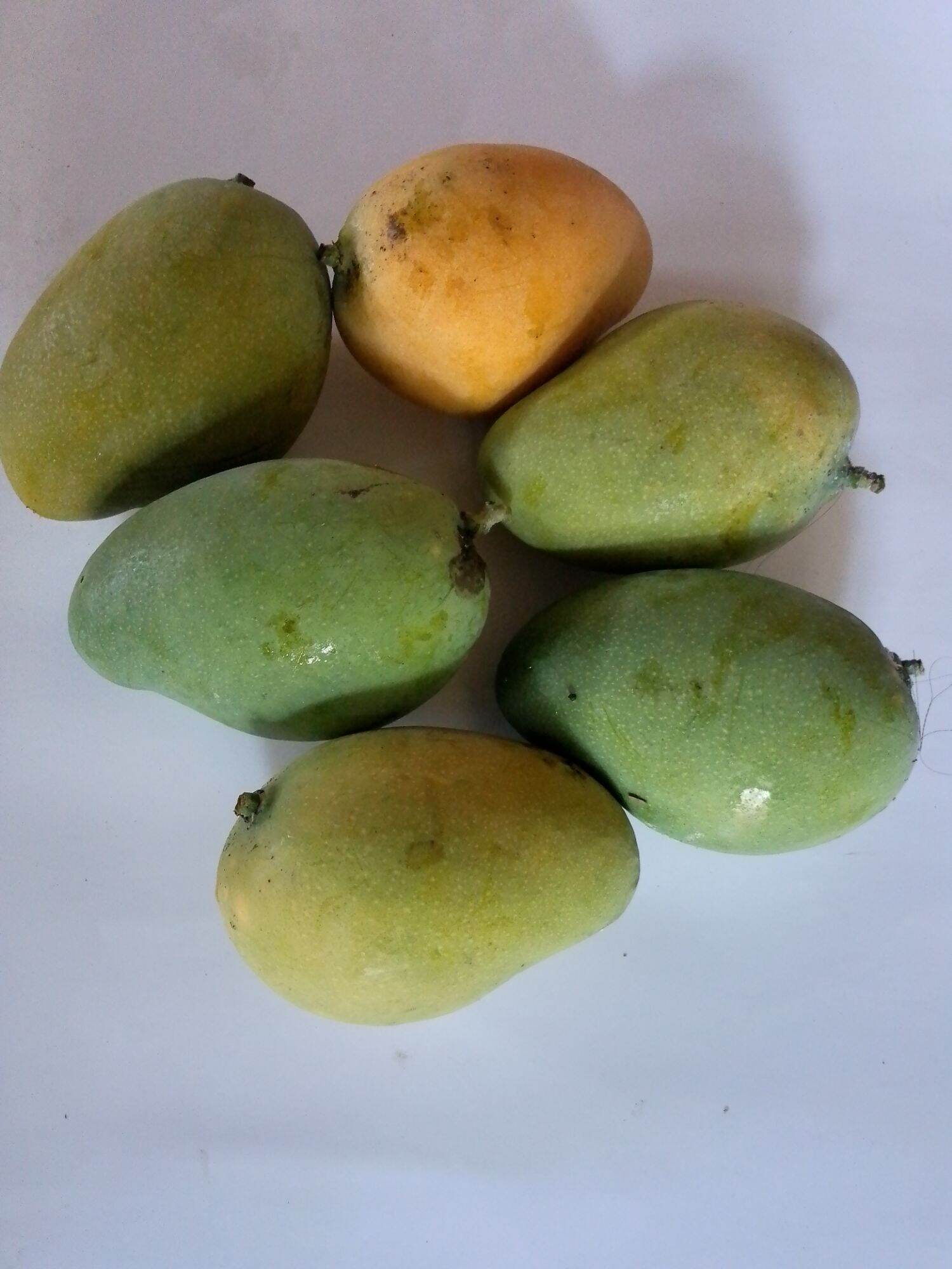 Mangga Podang Masak Pohon 1kg | Lazada Indonesia