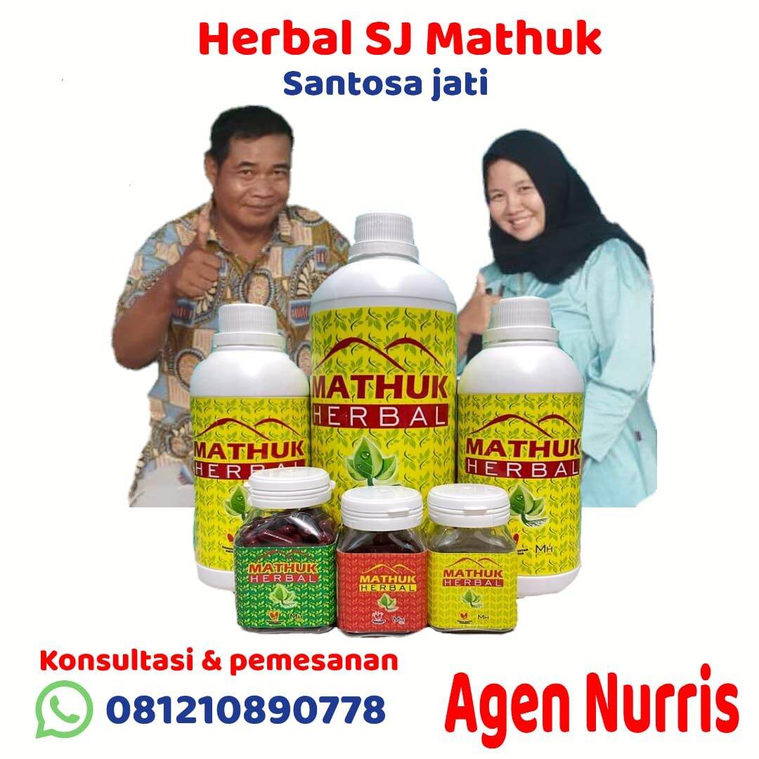 Herbal sj ( nurris) Toko resmi di Indonesia, Online Shop 12 2024