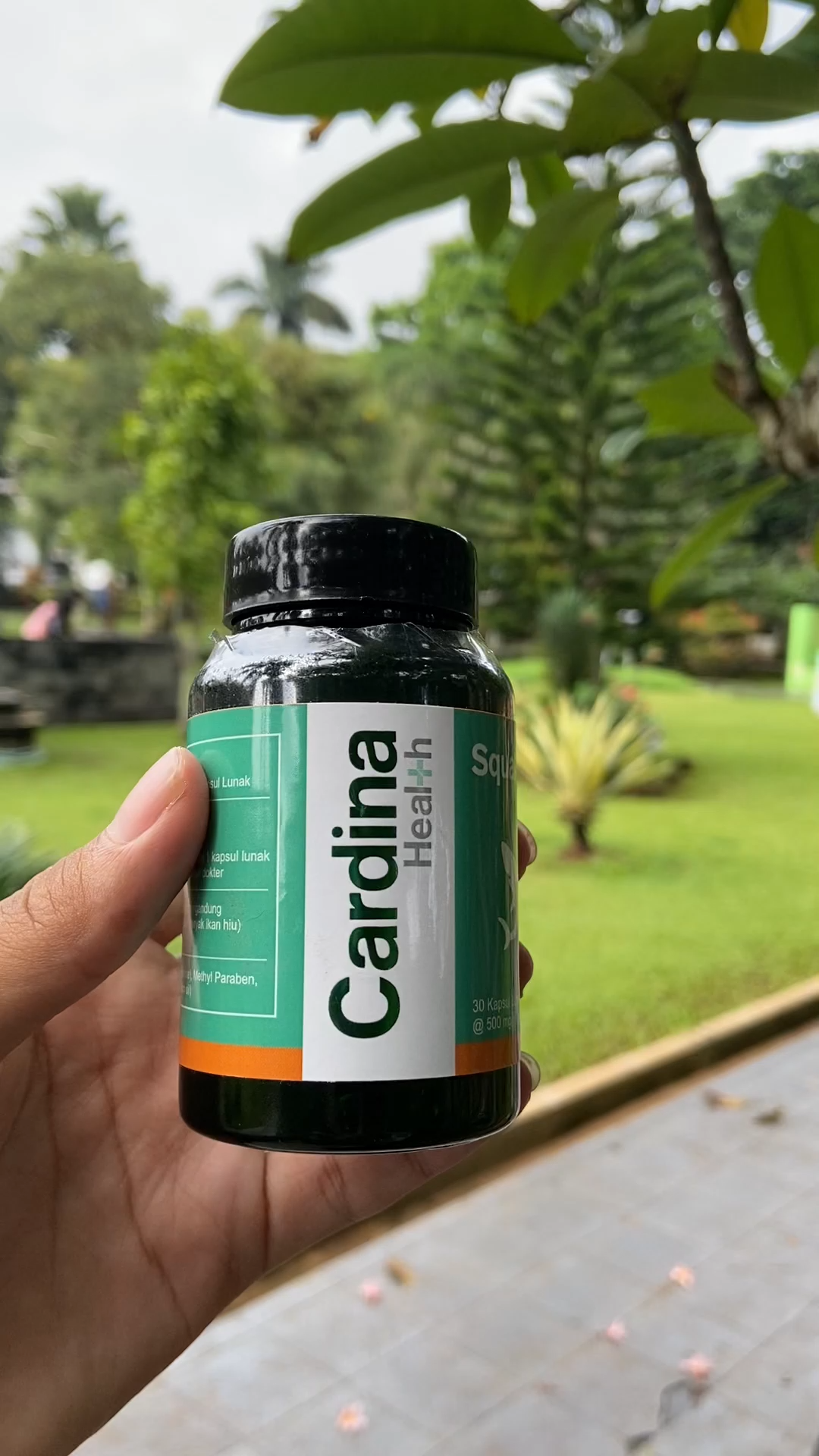 Obat Liver & Hepatitis A B C D E-Liver Bengkak Sirosis Hati Penurun ...