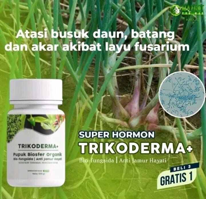 Produk Trichoderma isi 250 ml dengan manfaat mempercepat perkecambahan ...