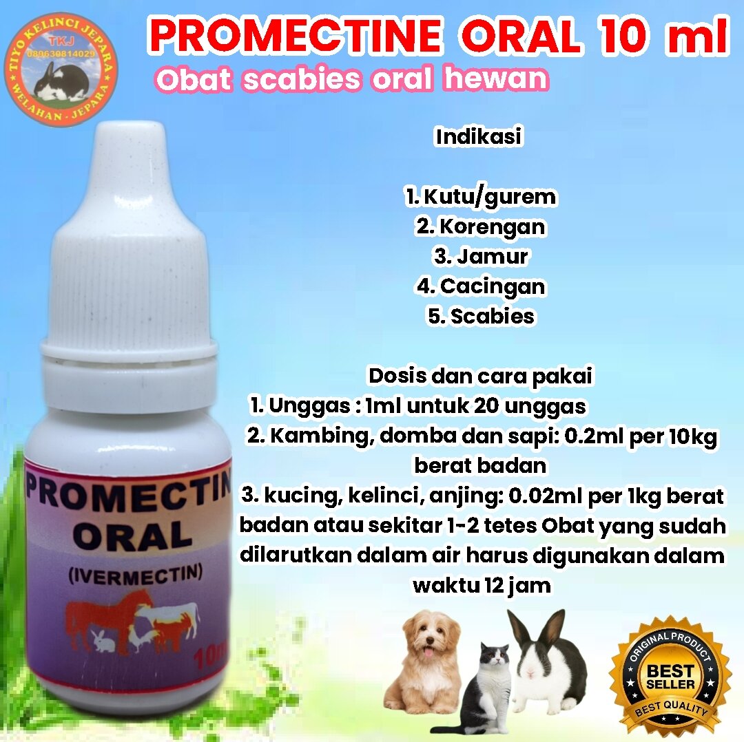 promectin oral 10 ml obat scabies gudik kutu jamur Ringworm Mirip ...