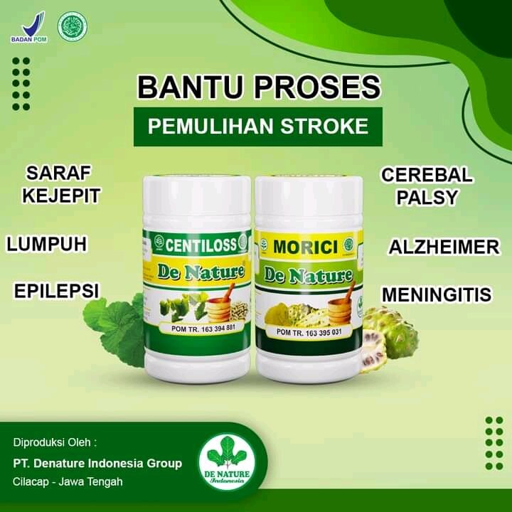 centiloss Morici solusi obat stroke ringan dan stroke berat herbal ...