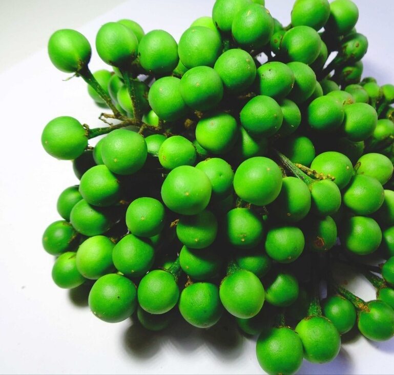 Takokak Cepokak Segar Baru Dipetik 1KG | Lazada Indonesia