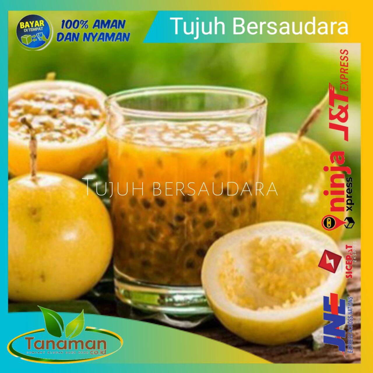 BUAH MARKISA 2kg AMEFURASHI SEGAR DAN FRESH | Lazada Indonesia
