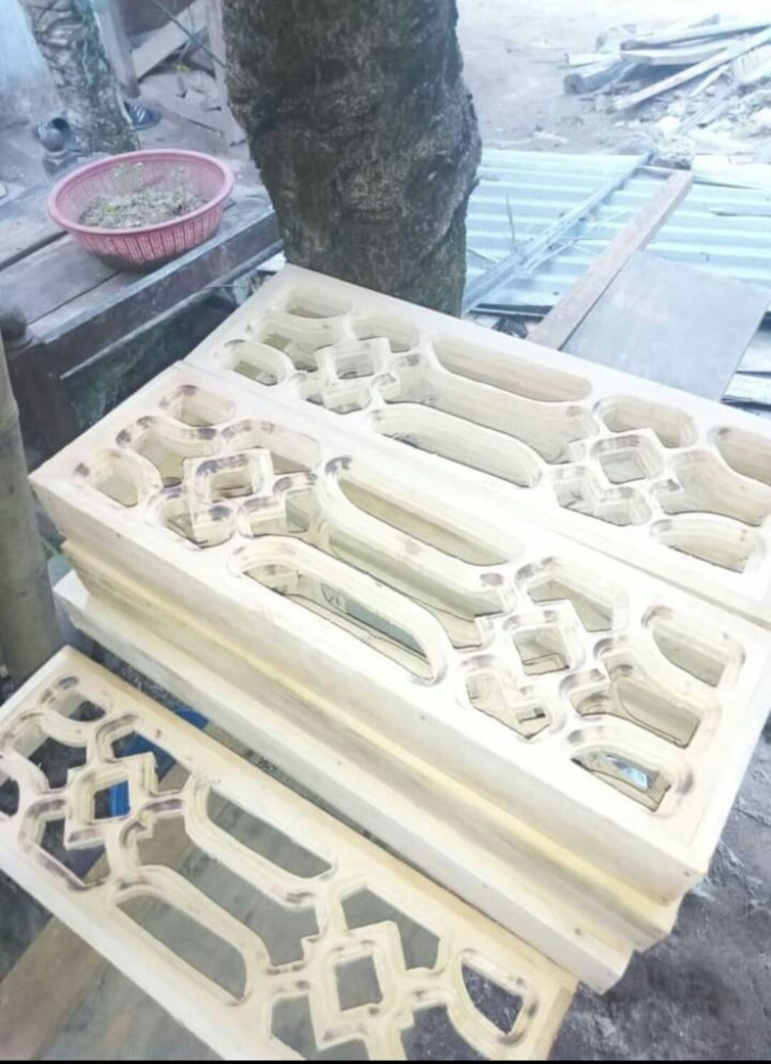 daunan loster, loster jati, daun loster jati ukuran 44x12 | Lazada ...