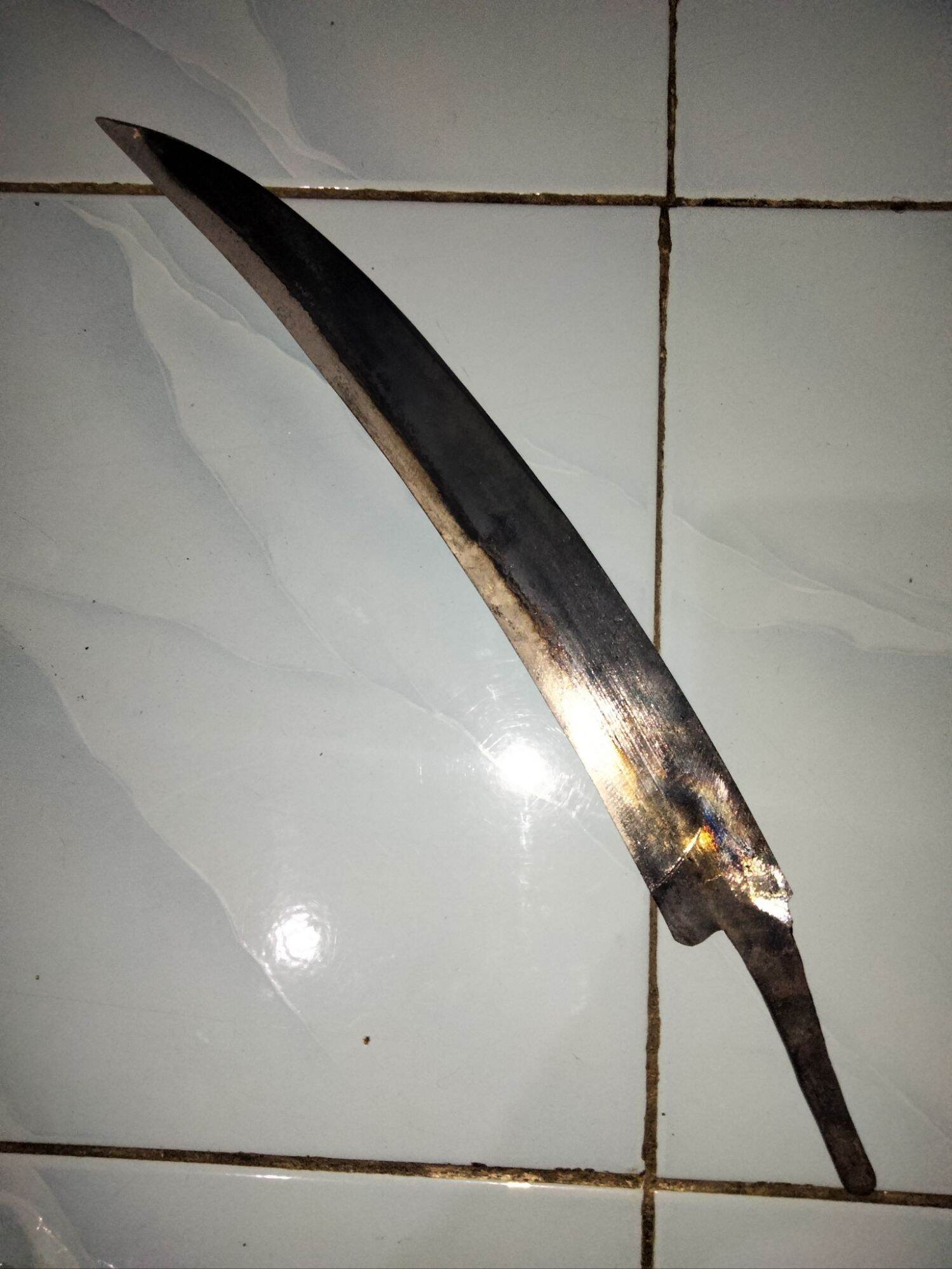 mentahan kuku macan baja per 30 cm | Lazada Indonesia