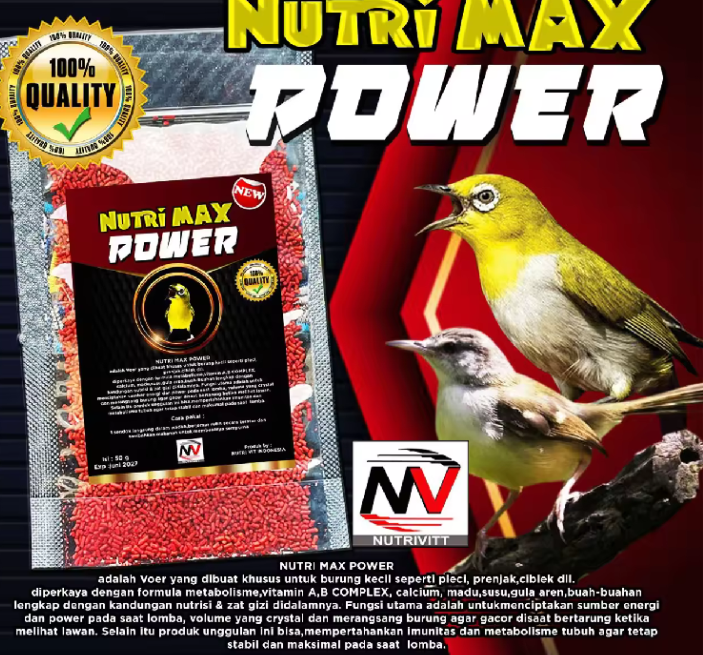 Voer Pakan Burung Nutri Maxx merah mini Gacor | Lazada Indonesia