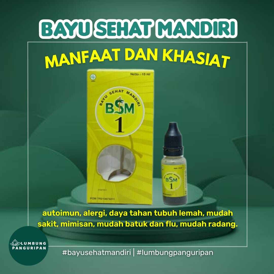 Bayu sehat mandiri BSM 1 | Lazada Indonesia