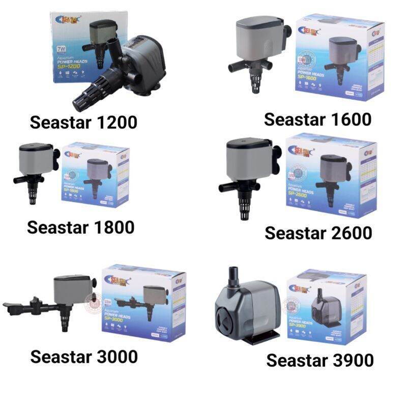 rafa_aquatic Toko resmi di Indonesia, Online Shop 05 2025