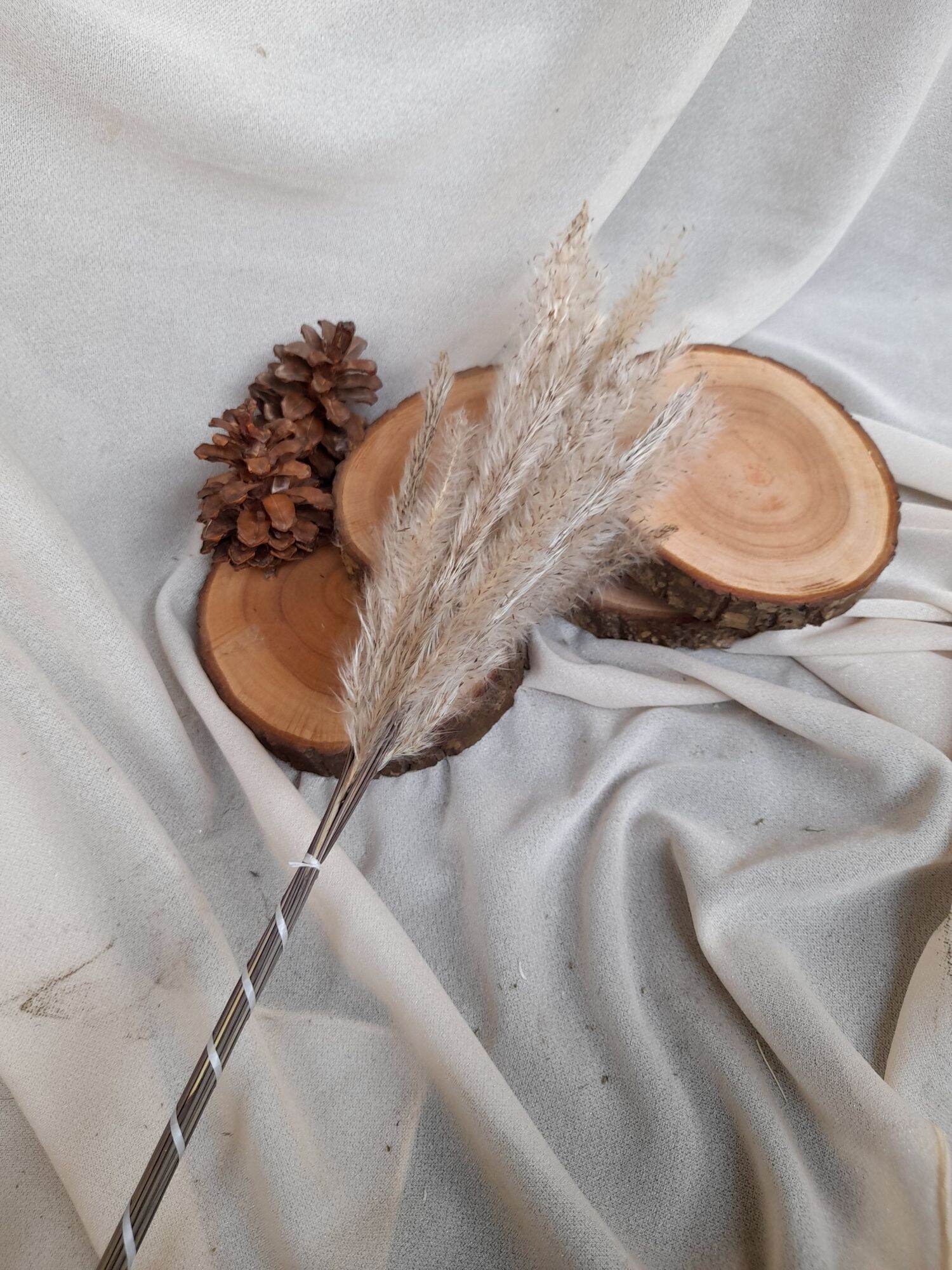 bunga ilalang bunga kering rustic | Lazada Indonesia