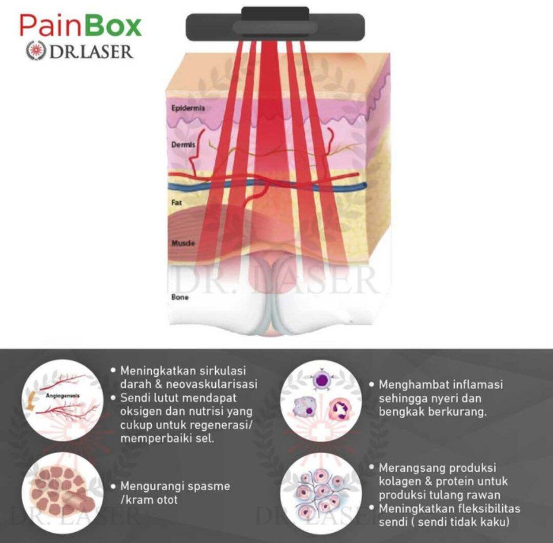 DR Laser Pain Box Terapi Lutut dan Sendi | Lazada Indonesia