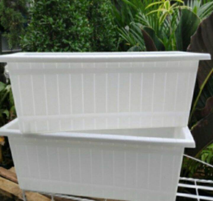 Pot kotak panjang ukuran 50 cm | Lazada Indonesia