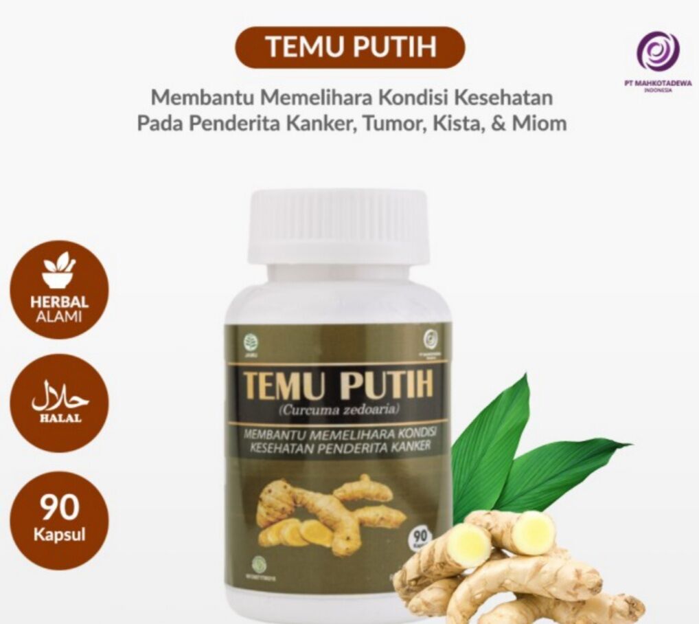 Herbal TEMU PUTIH Curcuma Zedoaria Kapsul Jamu Penyembuhan Kanker ...