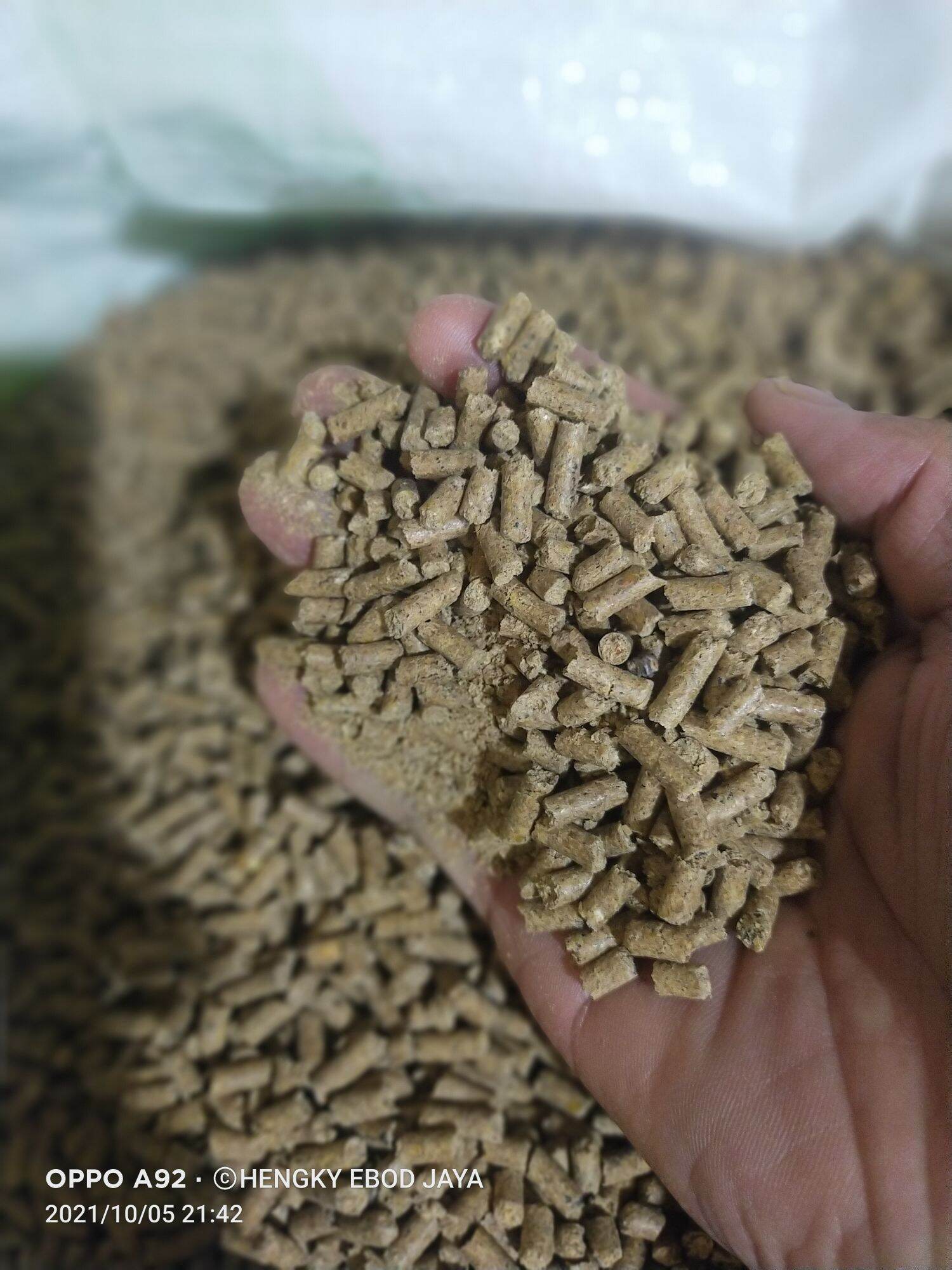 Voer daging untuk merpati dan ayam jago 1kg | Lazada Indonesia