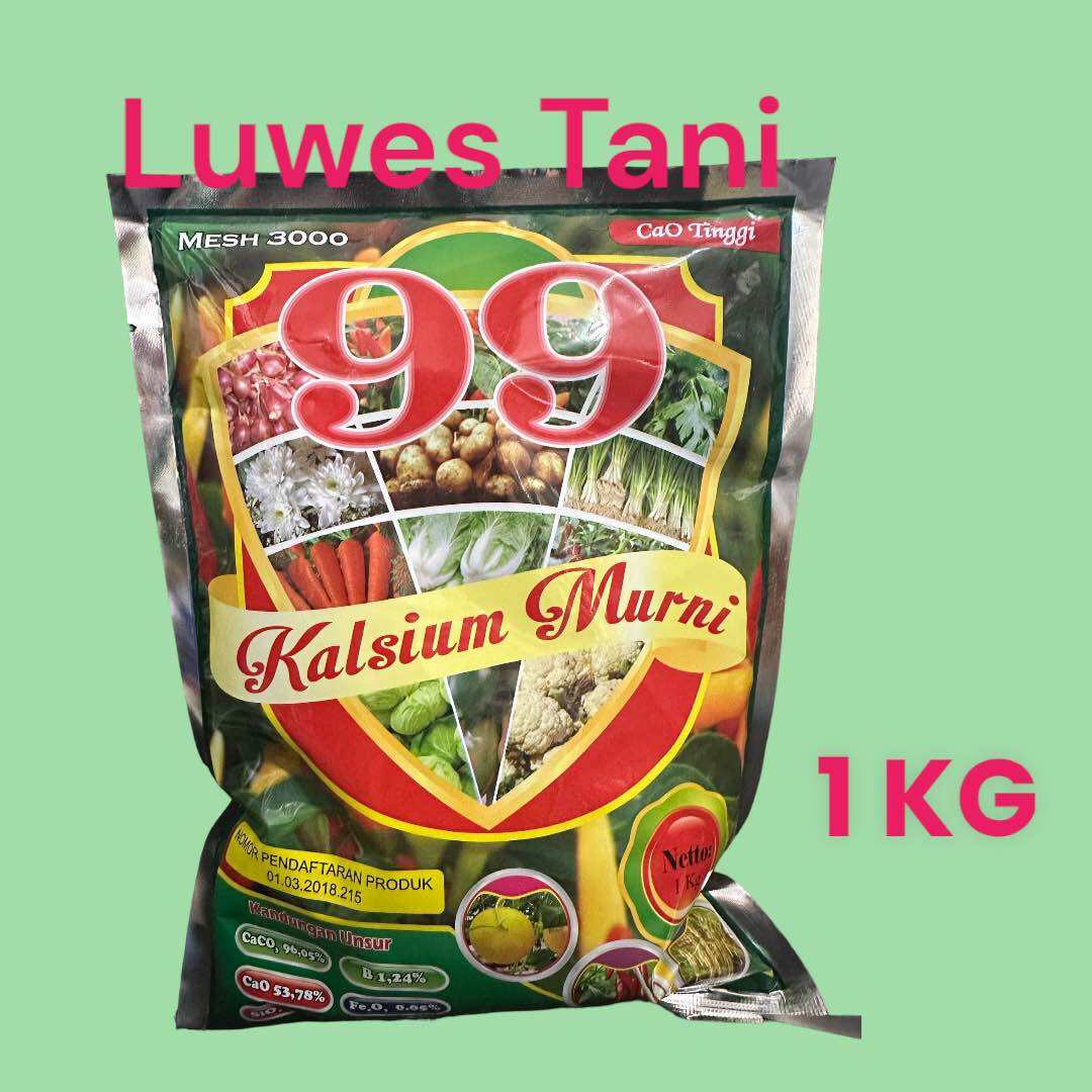 Pupuk KALSIUM MURNI 99 1KG Calsium Murni MESH 3000 | Lazada Indonesia