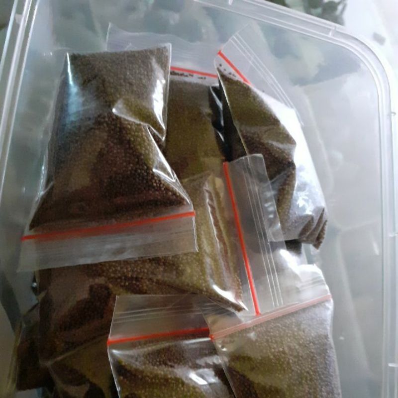 Pelet Pellet Ikan mikro micro kemasan plastik klip | Lazada Indonesia