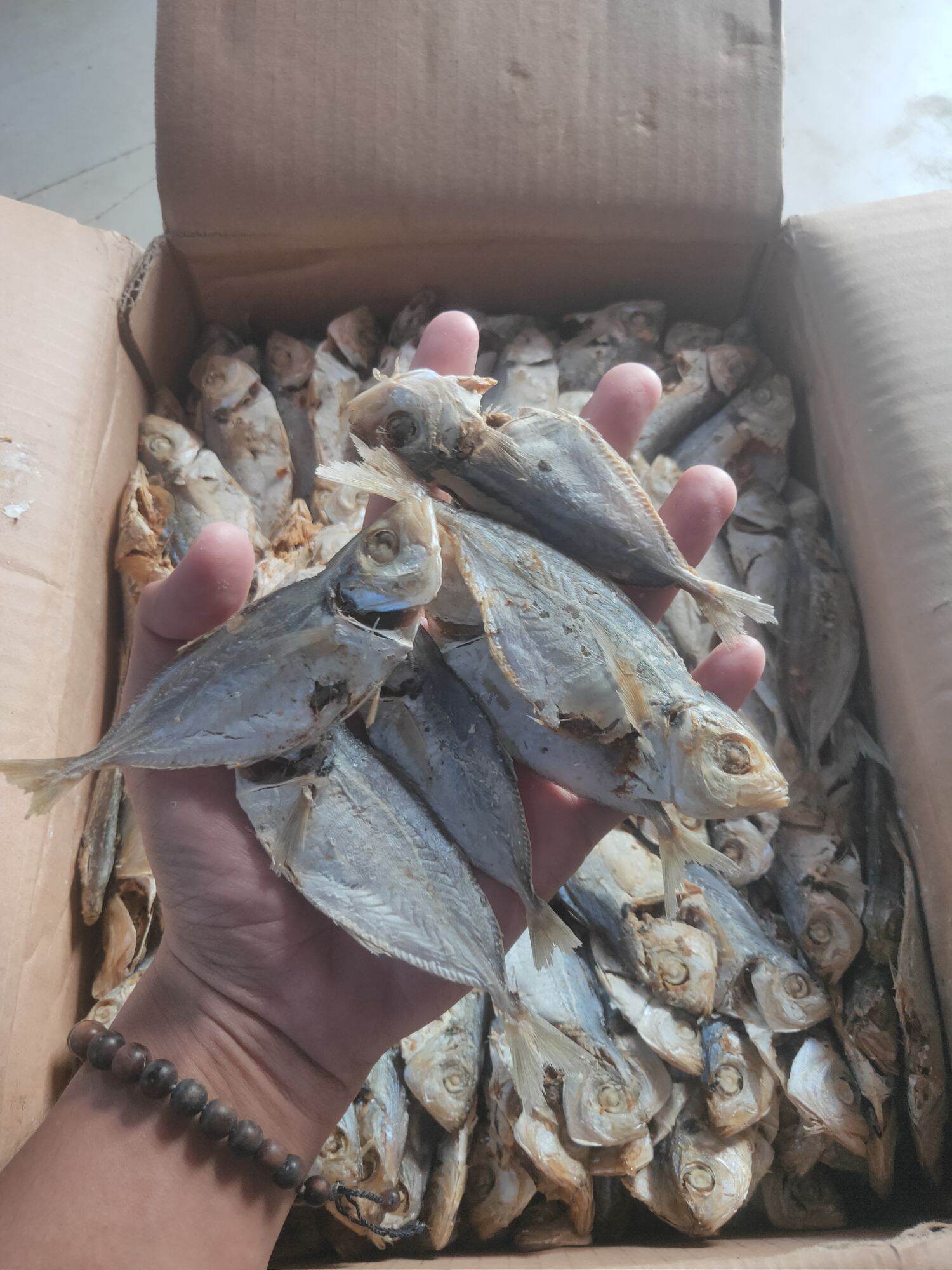 PAKET 10.000 IKAN ASIN SELAR REBUS KEMASAN 100 GRAM | Lazada Indonesia