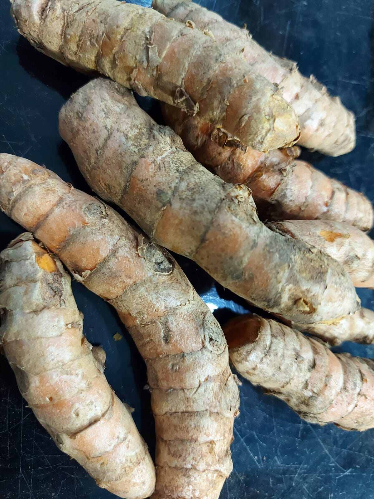 KUNYIT FRESH PILIHAN 1KG | Lazada Indonesia