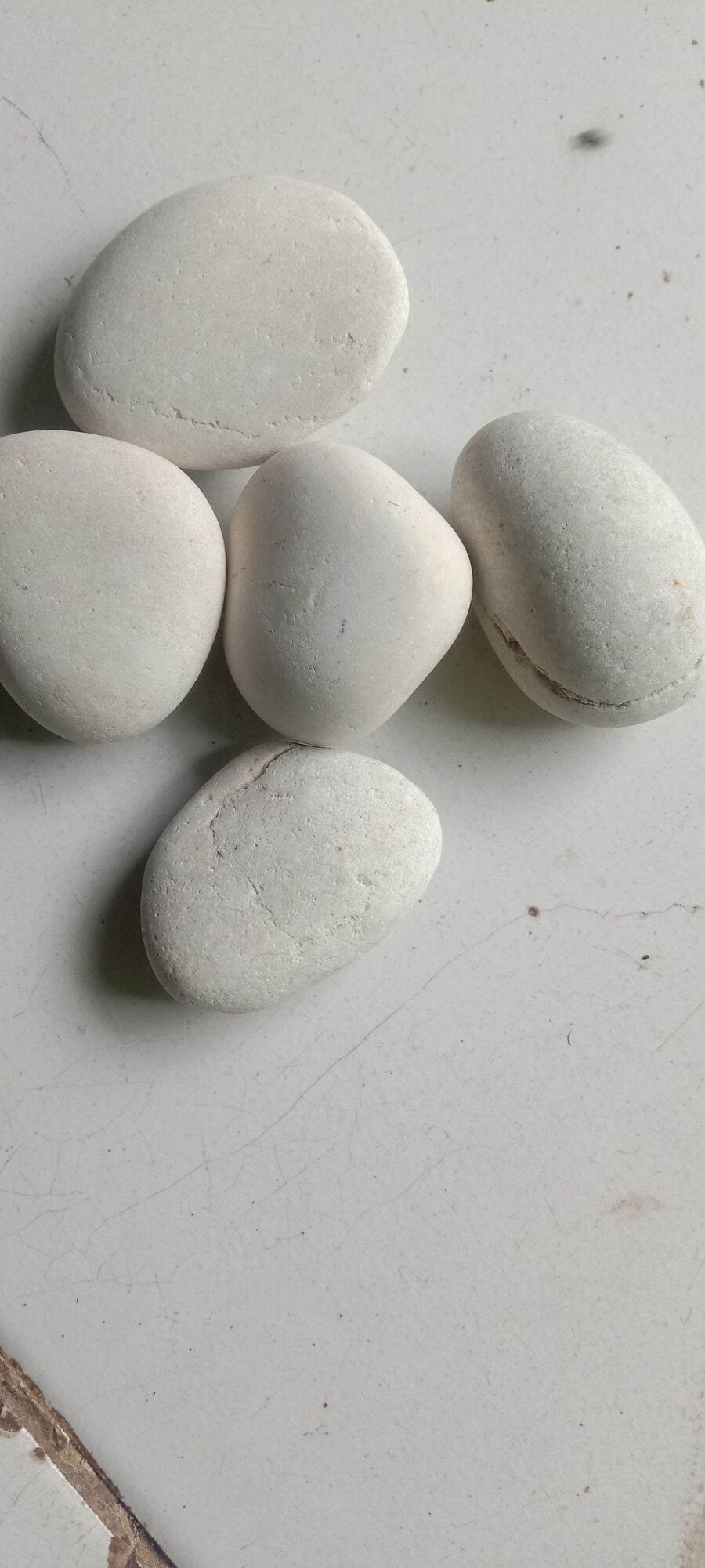 BATU ALAM KORAL PUTIH 1 KILO BATU ALAM BATU HIAS TAMAN | Lazada Indonesia