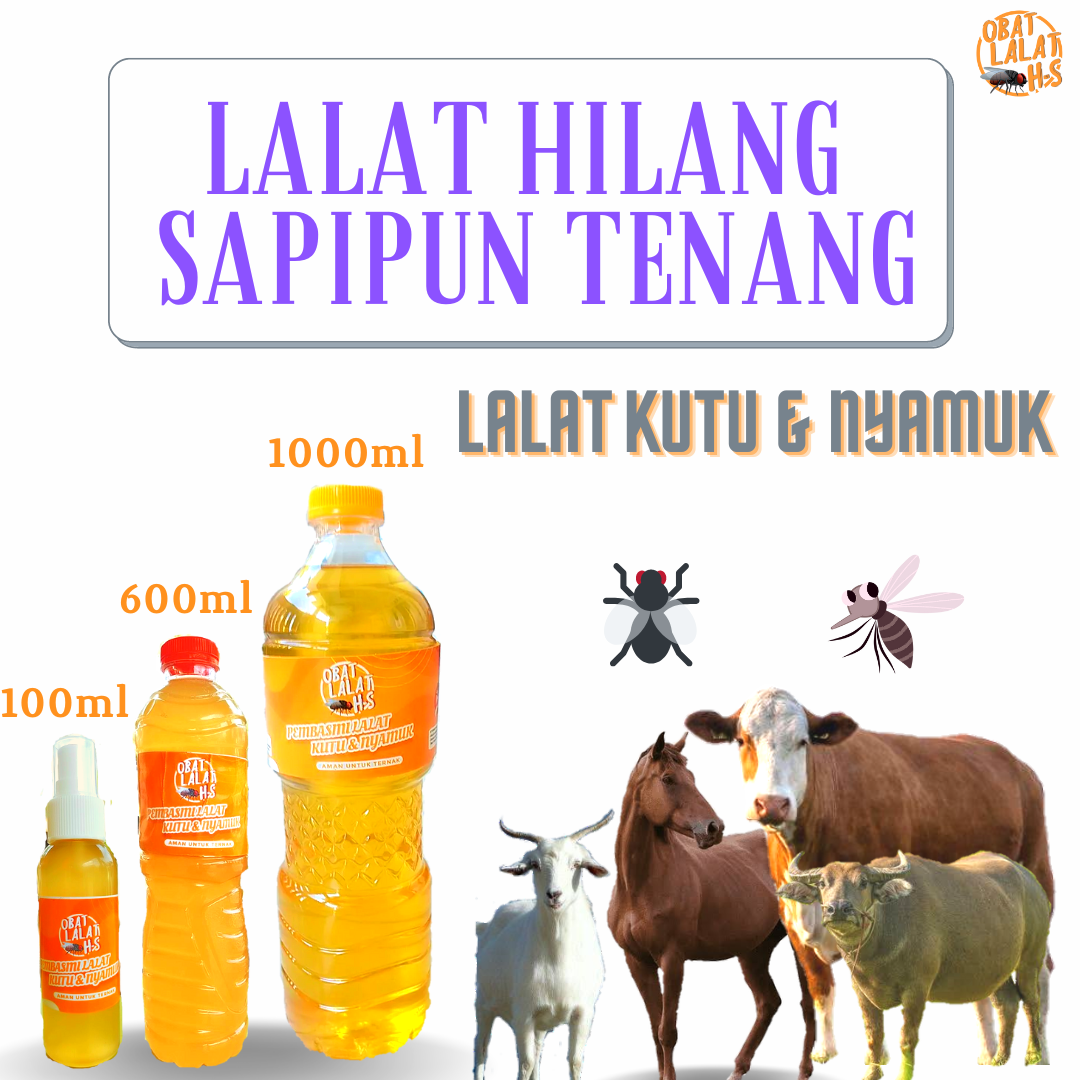 Obat lalat untuk sapi obat pembasmi lalat pada sapi kambing domba ...
