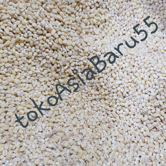 hanjeli 250gr hanjali jali jali biji jali belanda barley | Lazada Indonesia