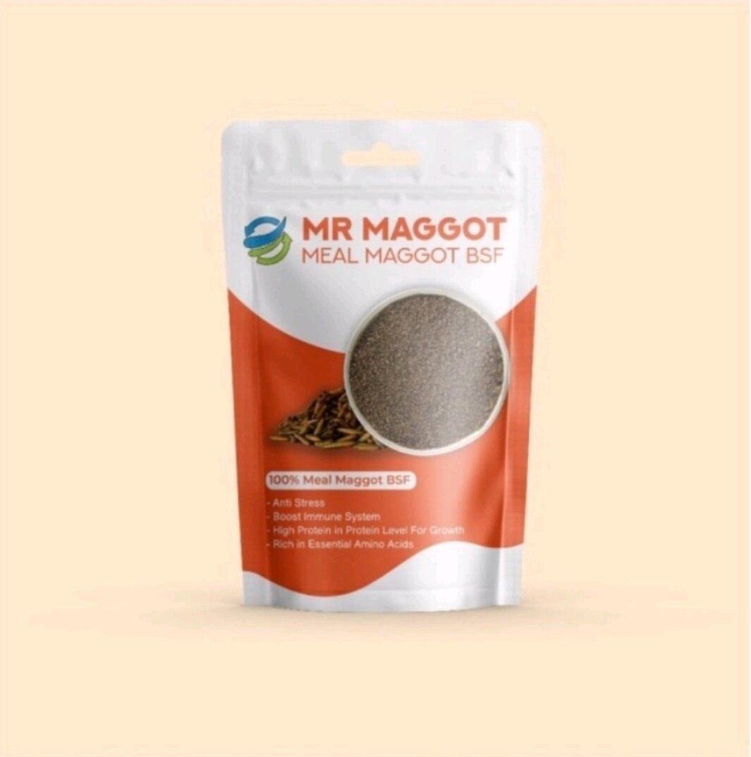 MR MAGGOT - Tepung Maggot/Magot BSF Ekstrak (tanpa minyak) PREMIUM ...