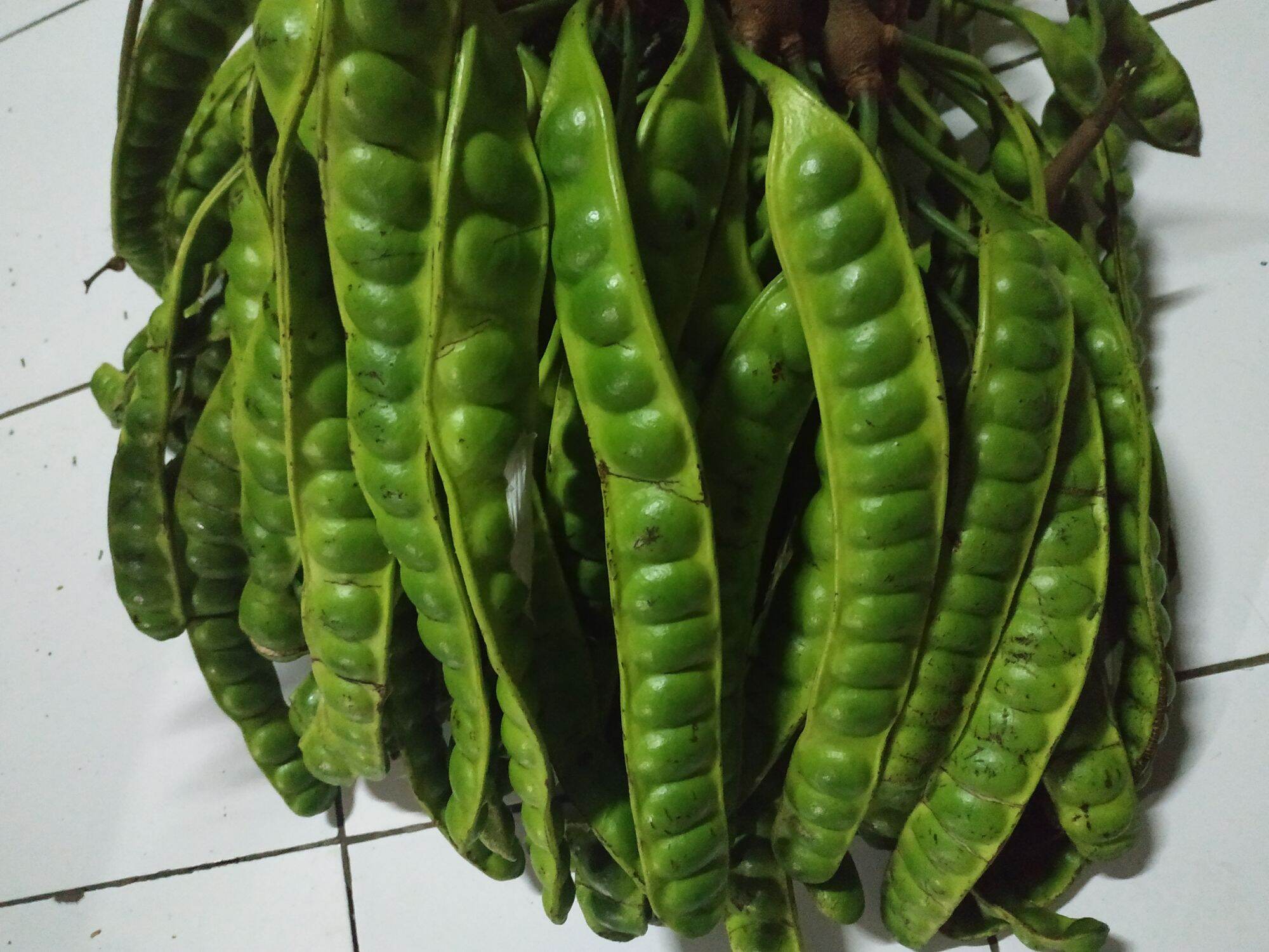Pete Padi Segar | Lazada Indonesia