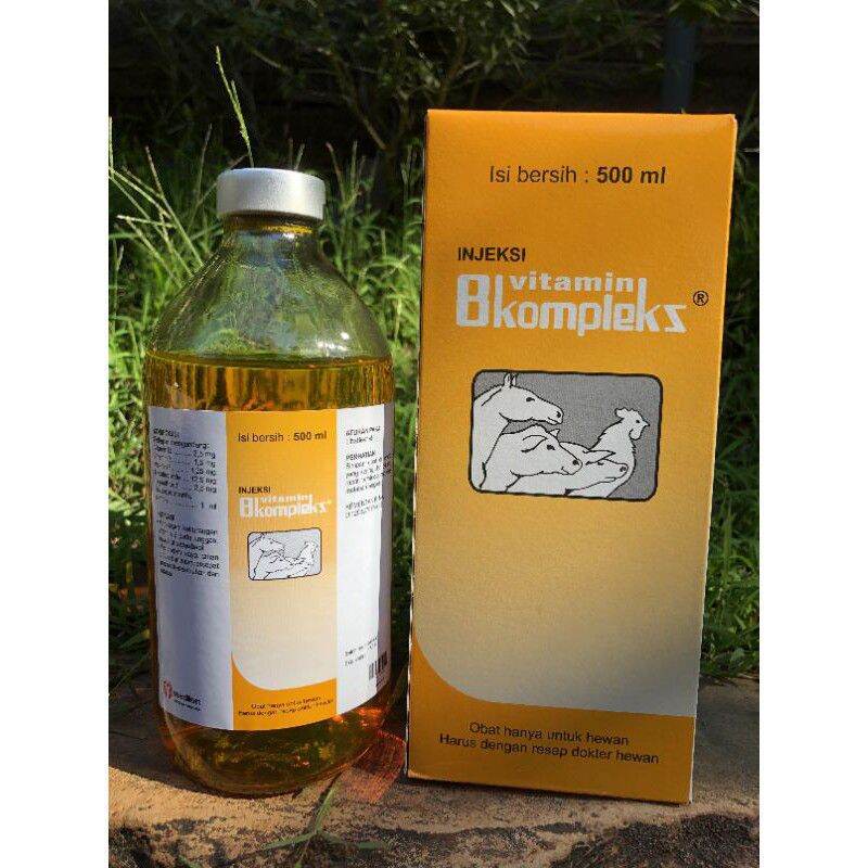 Vitamin B Kompleks Injeksi 500 ml | Lazada Indonesia