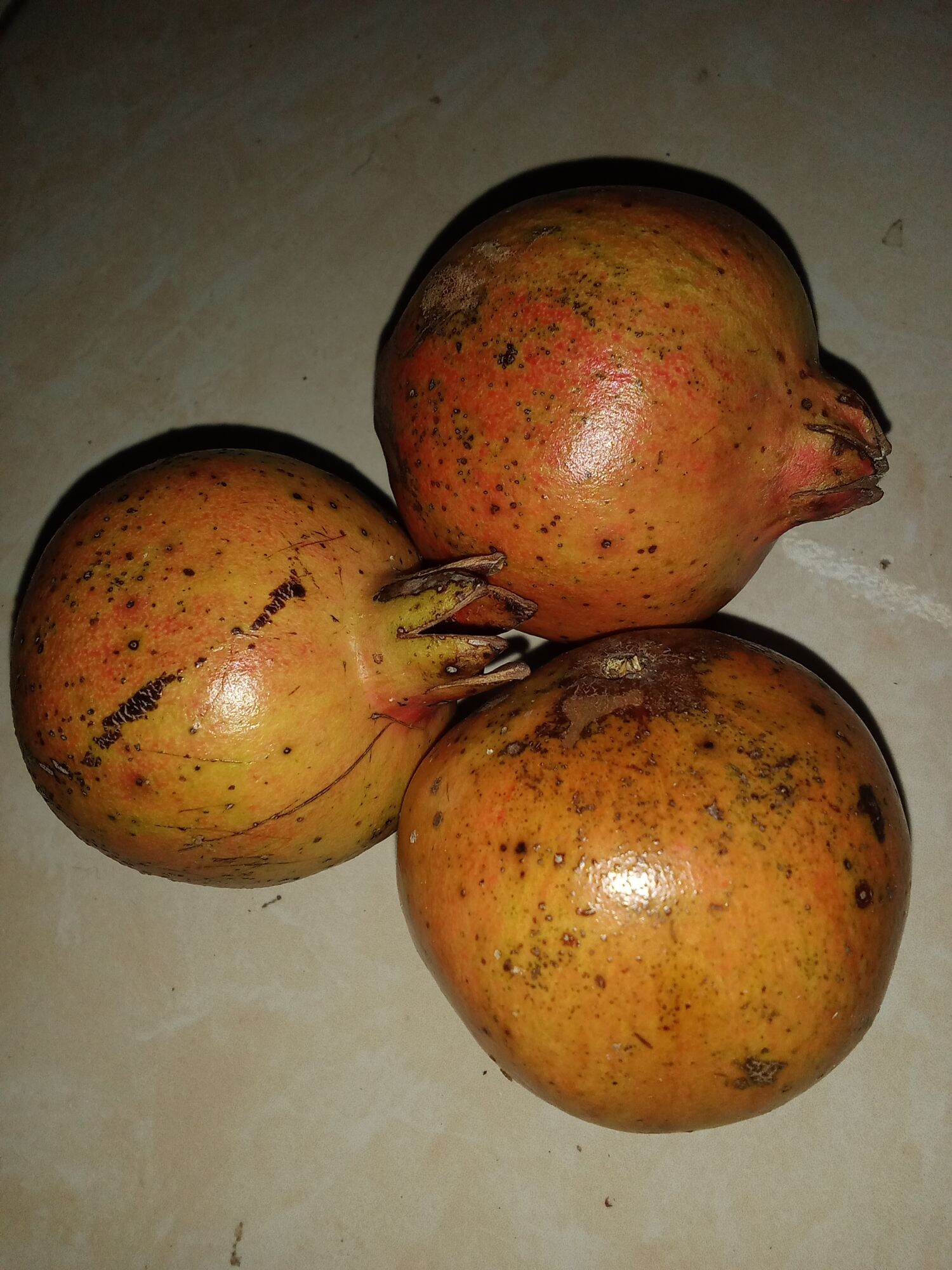buah delima merah lokal 500gr | Lazada Indonesia