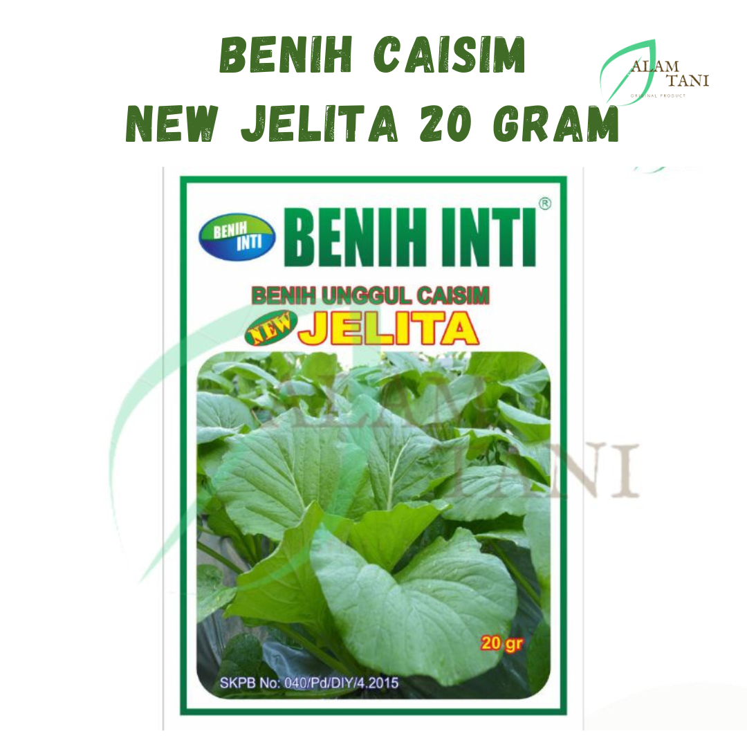 Benih Sawi Cesim NEW JELITA 20 gram Benih Inti | Lazada Indonesia