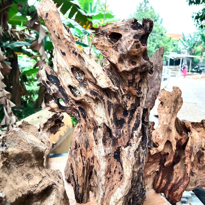 Hiasan Aquarium Kayu Rentek Aquascape Kayu Original | Lazada Indonesia