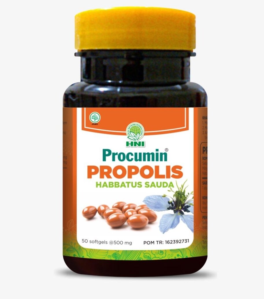 Procumin Propolis HNI multivitamin obat sinus original | Lazada Indonesia