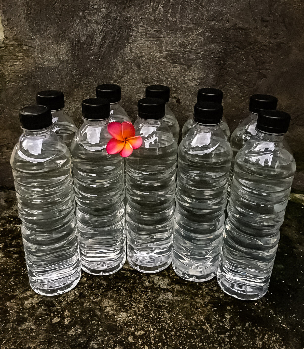 olahan air kelapa khas bali 1 paket 10 botol varian 600ml | Lazada ...