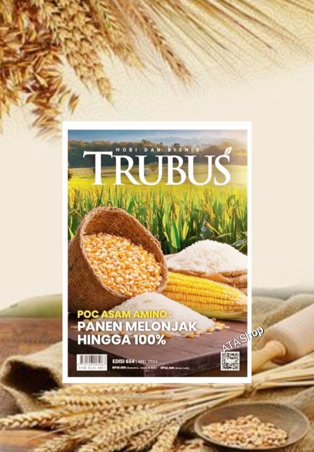 MAJALAH TRUBUS EDISI 654 MEI 2024 (POC ASAM AMINO : PANEN MELONJAK ...