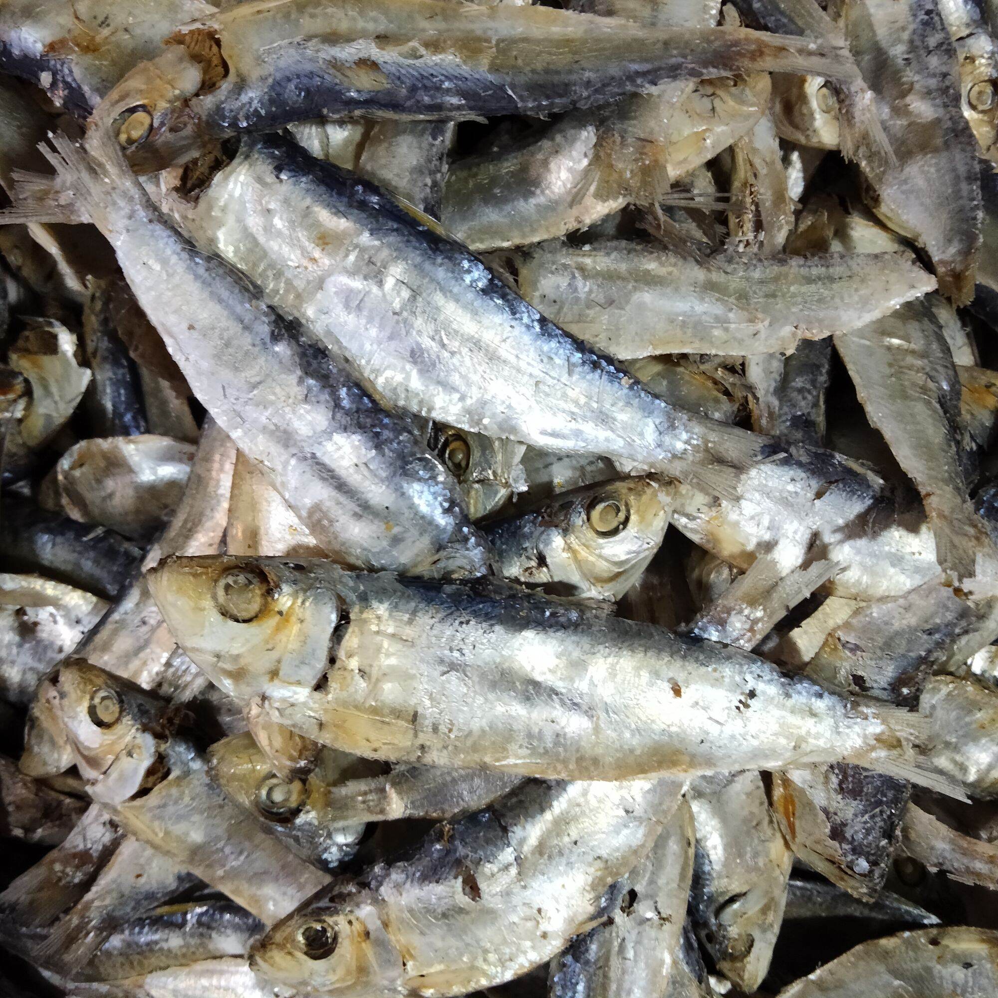 IKAN ASIN TANJAN REBUS 500 gram | Lazada Indonesia
