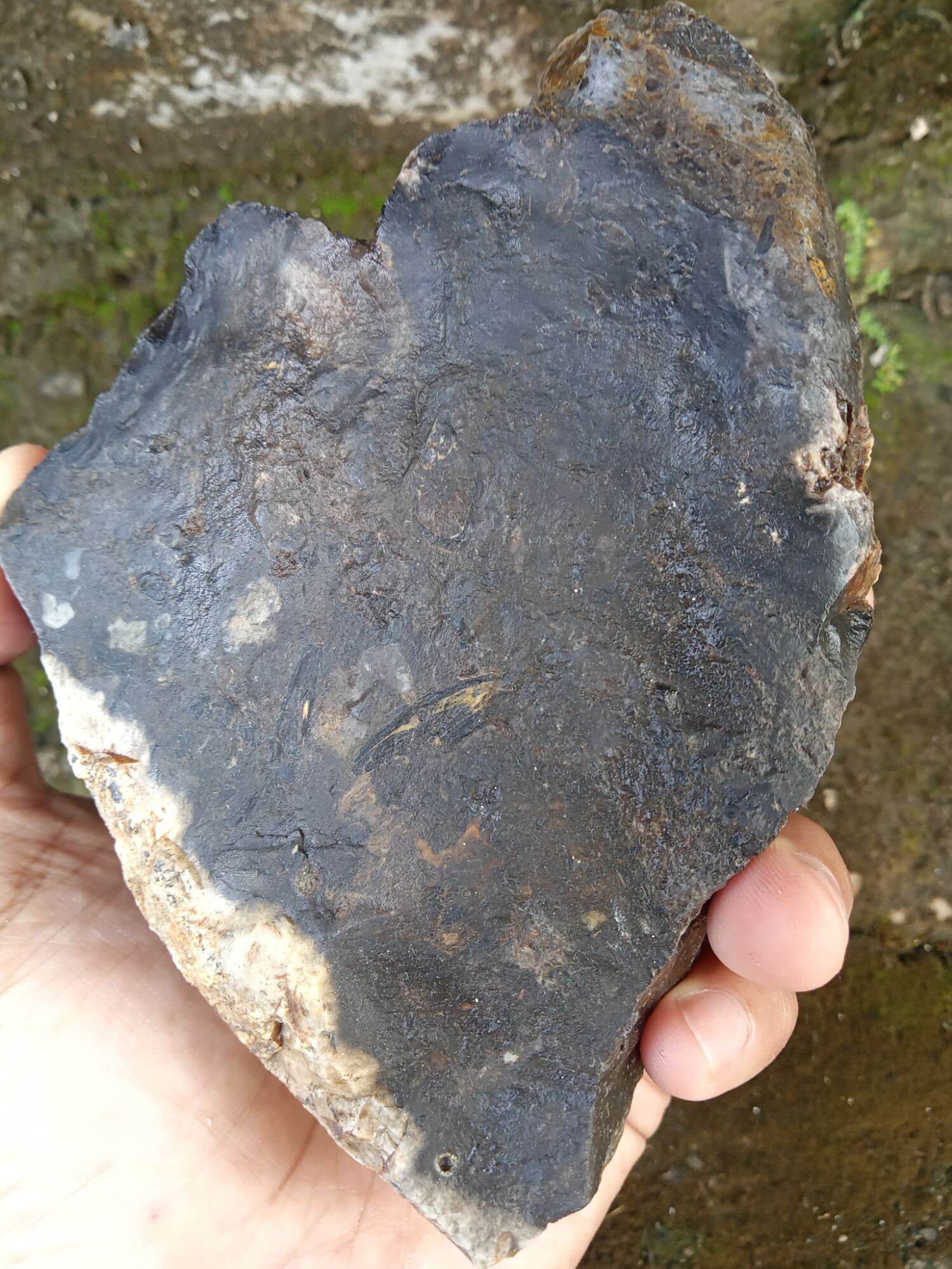 Batu Fosil Kayu asli Pasaman - Sumatera Barat ( Rough / Bahan Batu Akik ...